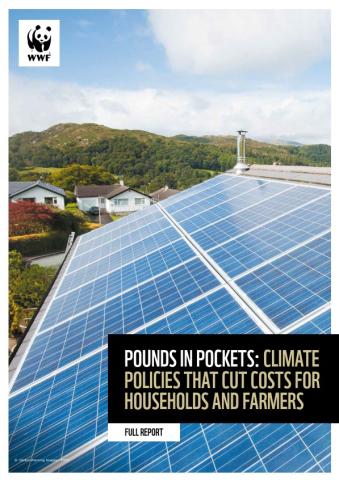 Pounds in Pockets | WWF