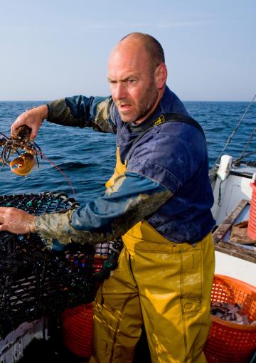 Why UK seas and coasts are important | WWF