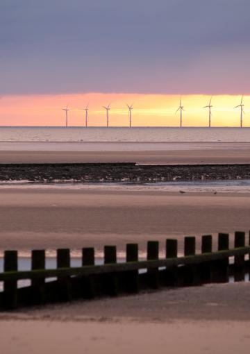 Why UK seas and coasts are important | WWF