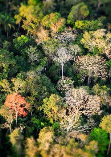 Why it's important that we value nature | WWF