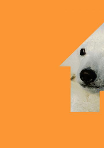 Why it's important that we value nature | WWF