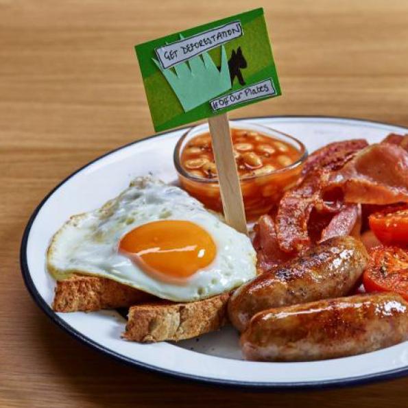 Deforestation and food: your questions answered | WWF