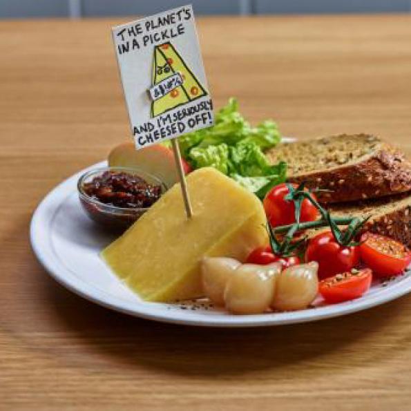 Deforestation and food: your questions answered | WWF