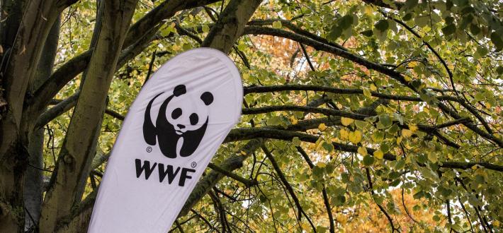 Here's how to donate through your business | WWF