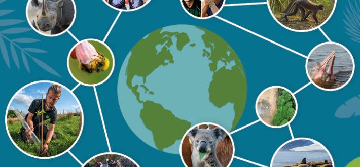 The results of the WWF's latest annual report | WWF