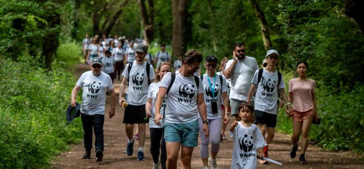 UK walking trails | WWF