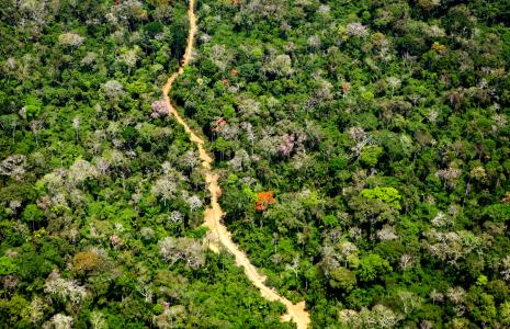 Support WWF at your special occasion | WWF