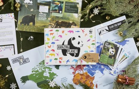 Our Planet: what you can do now | WWF