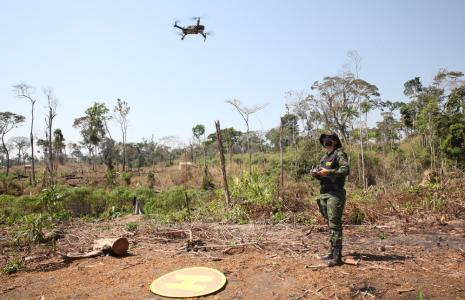 Make WWF your Charity of the Year | WWF