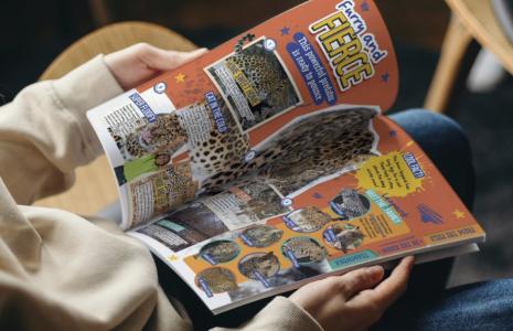 The World Wildlife Fund | WWF