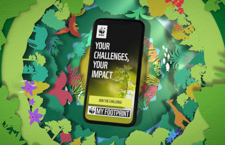 The World Wildlife Fund: for people and nature to thrive | WWF