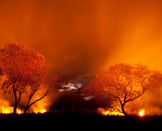 Climate change resources for schools | WWF