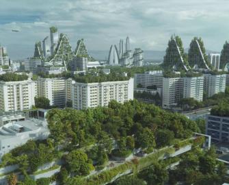 Climate change resources for schools | WWF