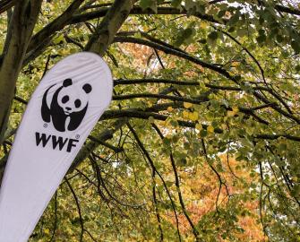Here's how to donate through your business | WWF