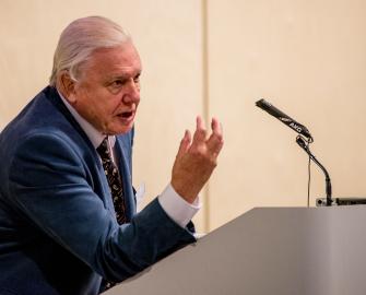 A guide to COP | WWF