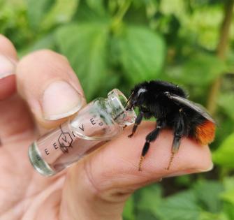 World Wide Fund for Nature | WWF