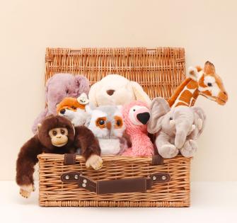 World Wide Fund for Nature | WWF