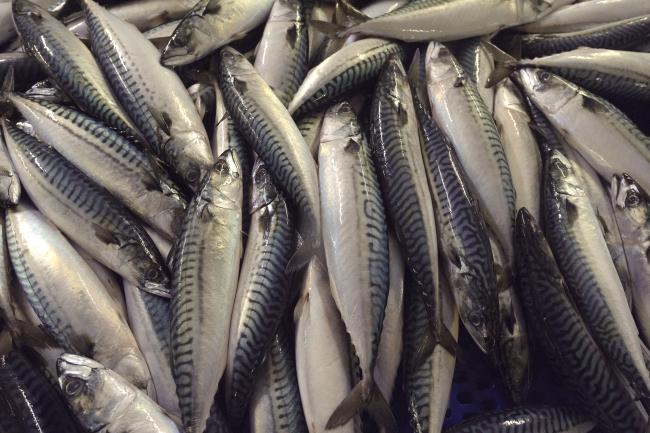 Supporting sustainable fishing practices | WWF