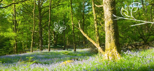 Why it's important that we value nature | WWF