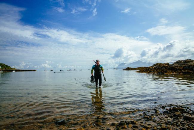 Our success stories: what we've achieved together | WWF