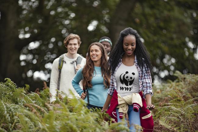 Updates Listing | WWF