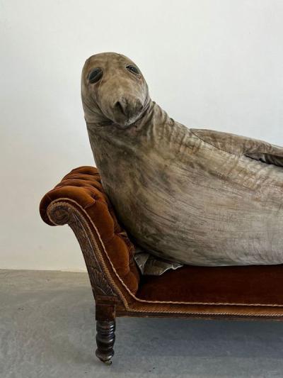 Laura Ford - Reclining Seal | WWF