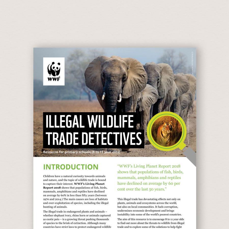 Illegal Wildlife Trade Classroom Resources | WWF