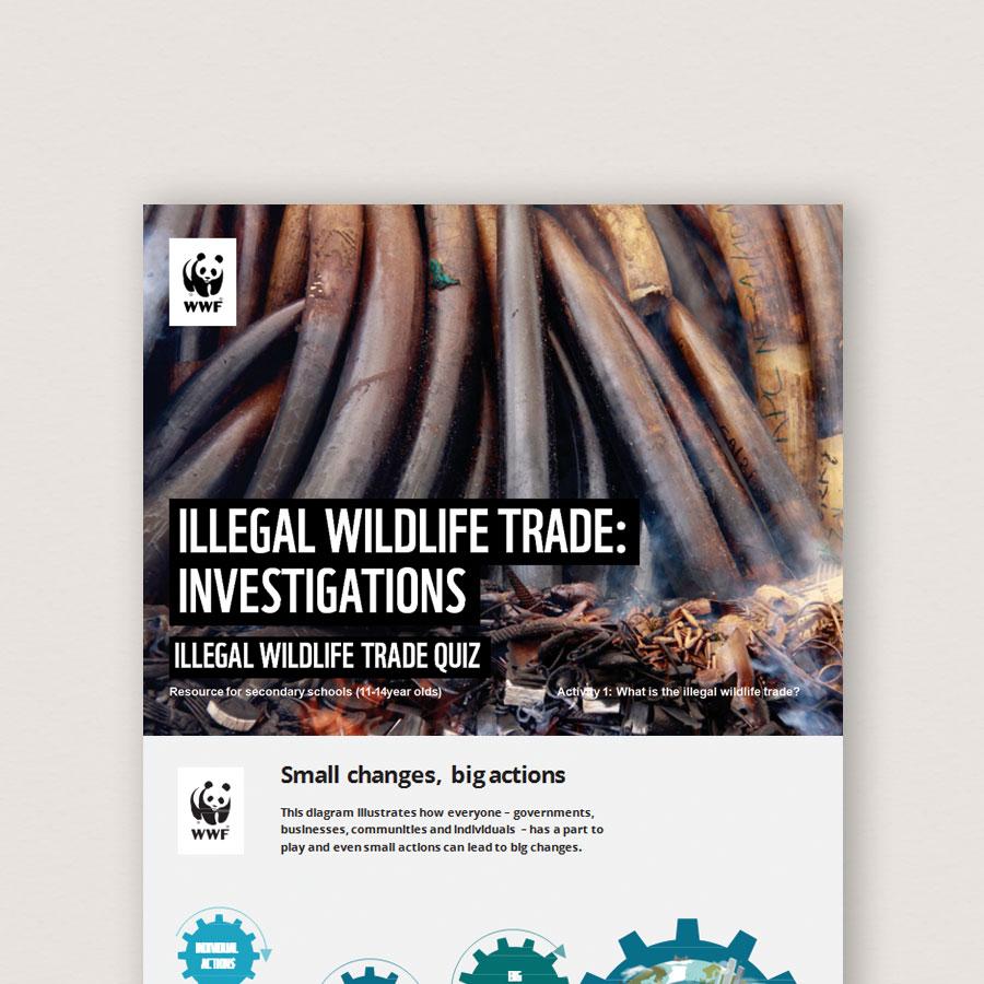 Illegal Wildlife Trade Classroom Resources | WWF