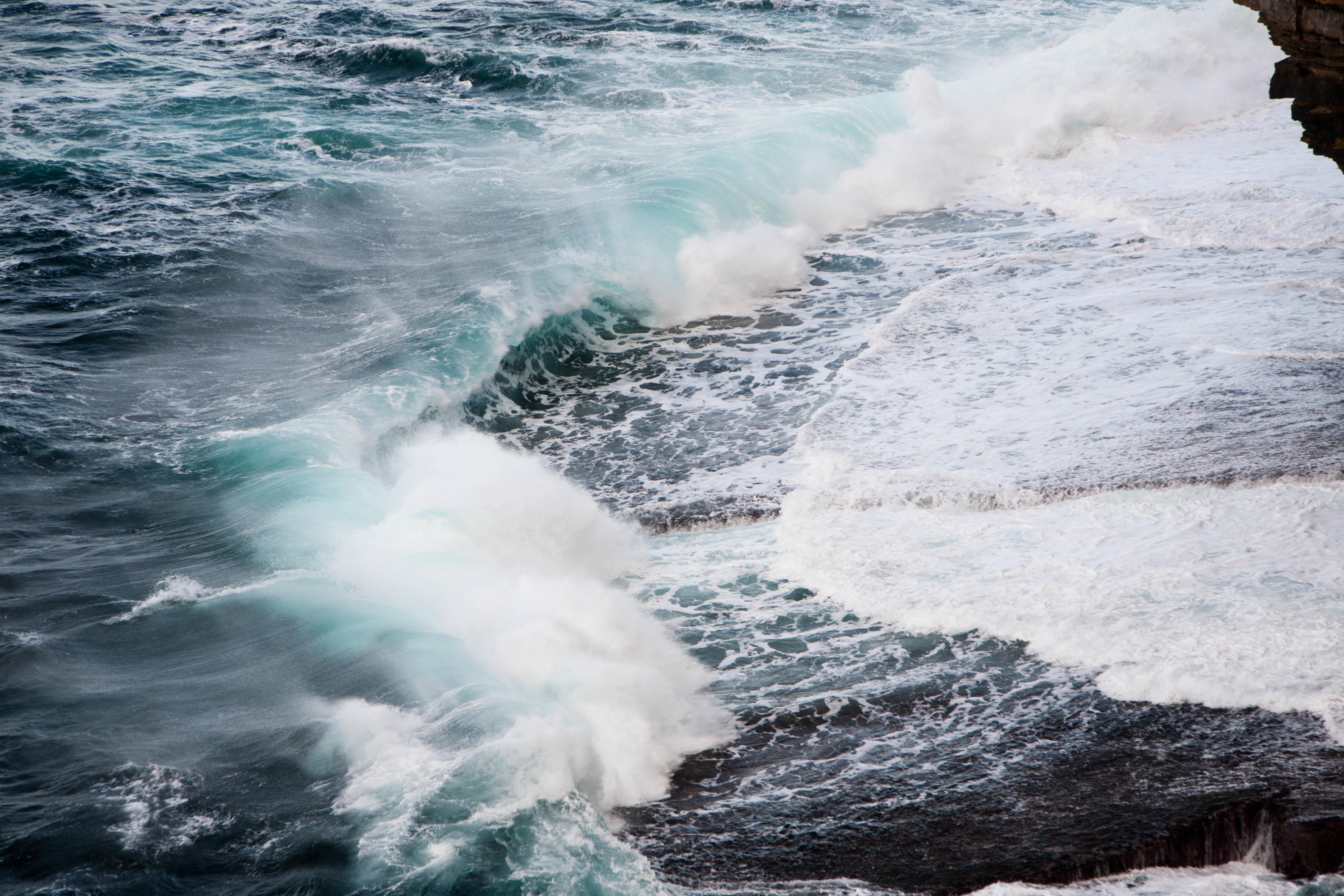 Parliamentary briefings- Scotland | WWF