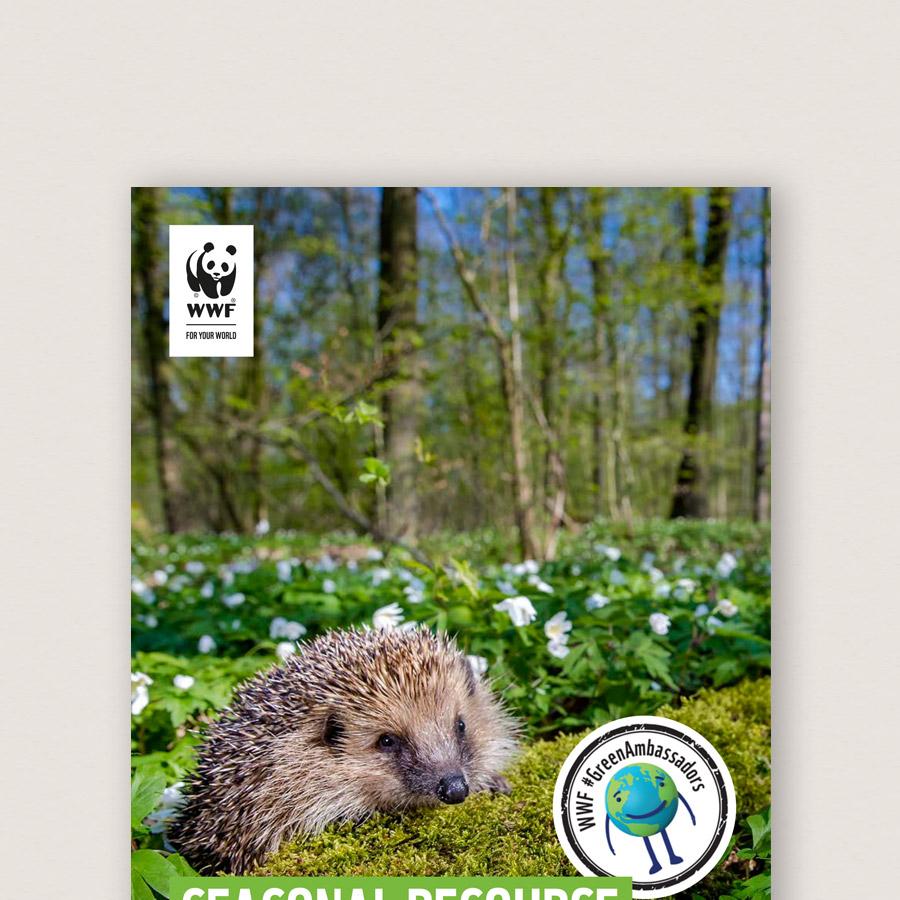 Seasonal Resources for Youth Groups | WWF