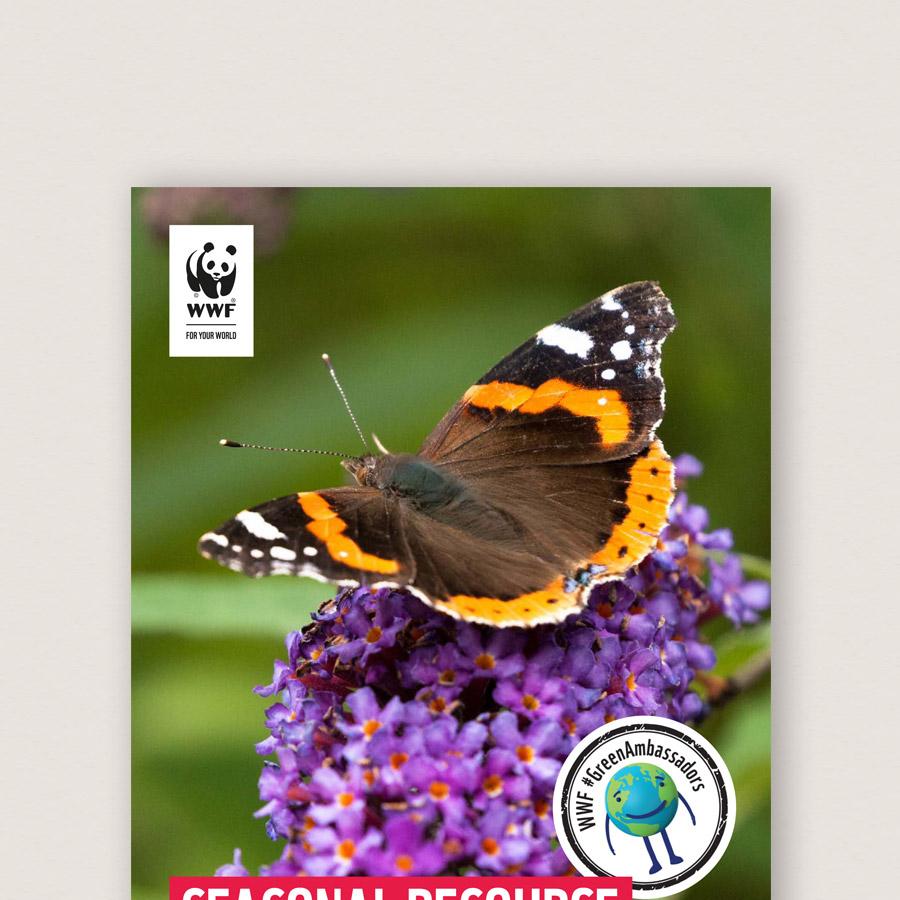 Seasonal Resources for Youth Groups | WWF