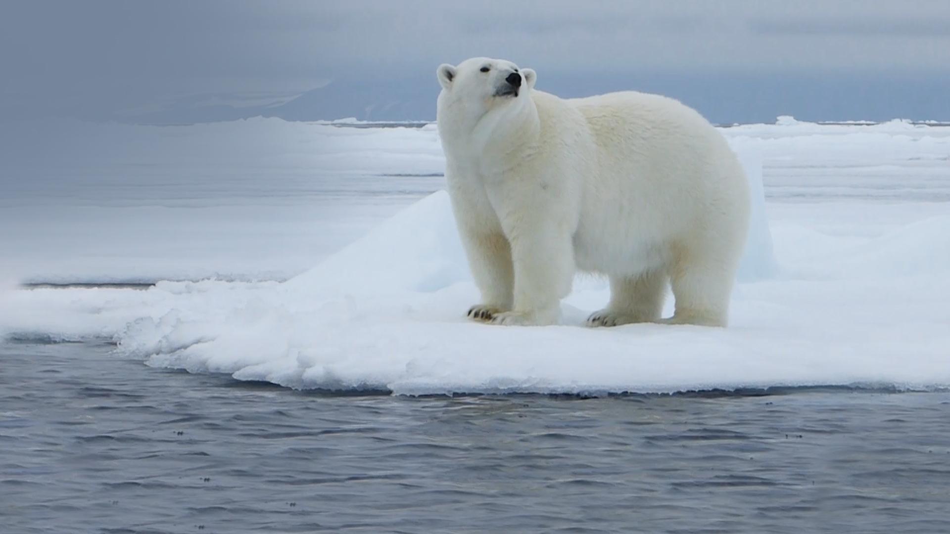 Supporting teachers and schools | WWF