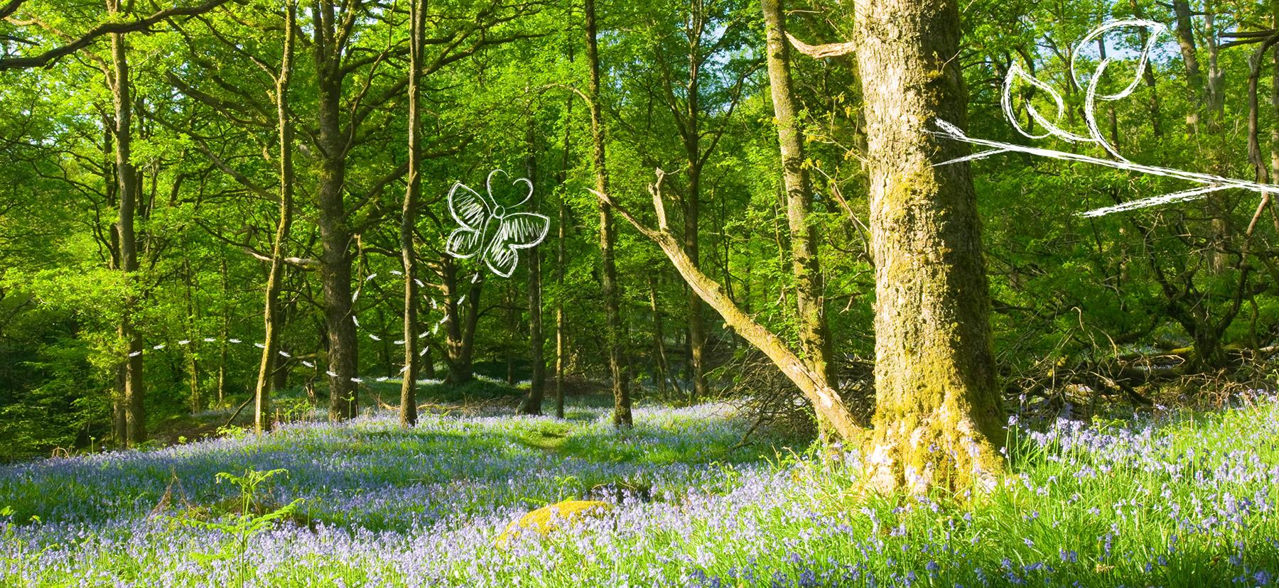 5 ways to connect to nature to help our wellbeing | WWF