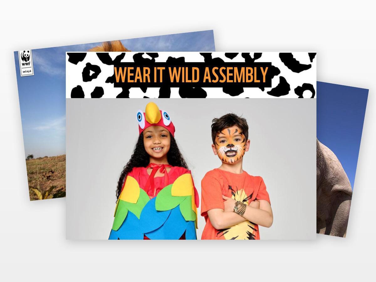 Wear it Wild for schools | WWF