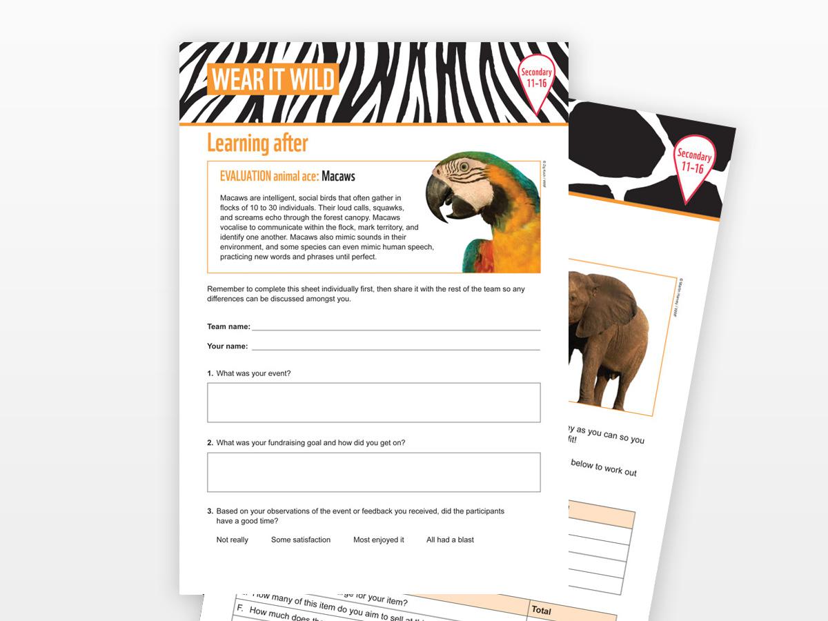 Wear it Wild for schools | WWF