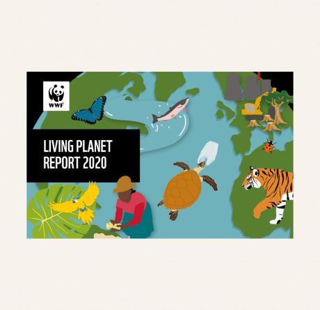 Find WWF's range of press releases here | WWF