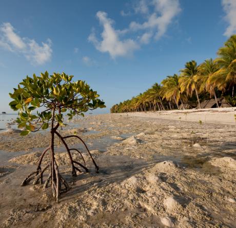 Find Wwf S Range Of Press Releases Here Wwf