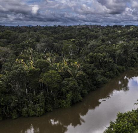 Find WWF's range of press releases here | WWF