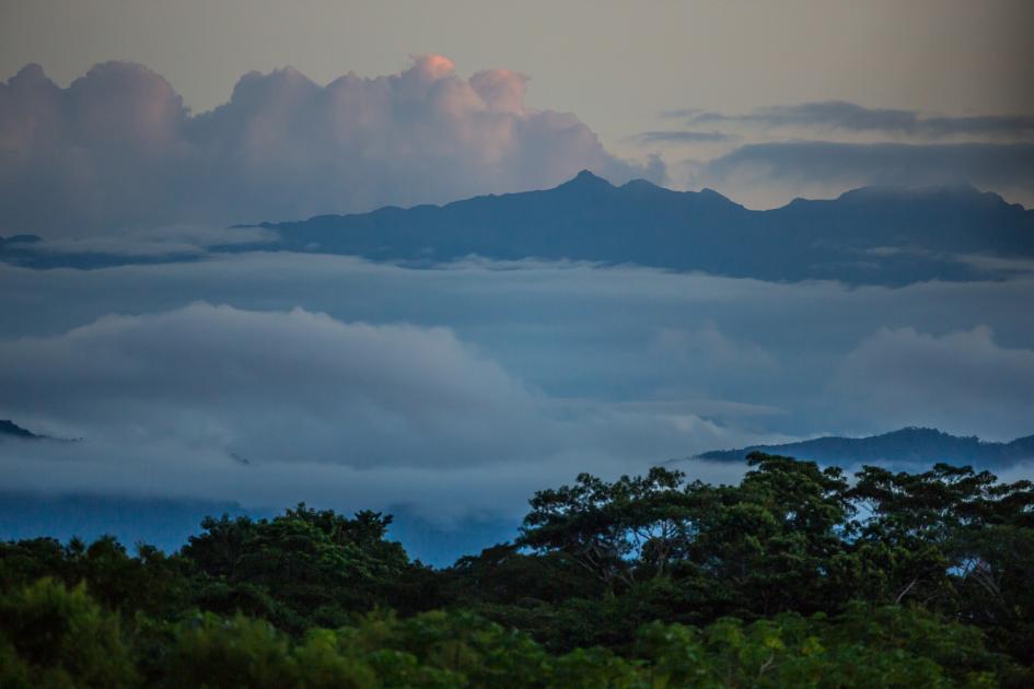 Where the WWF works around the world | WWF