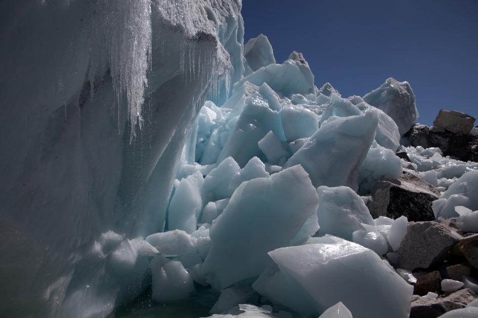 Our fight against climate change and global warming | WWF