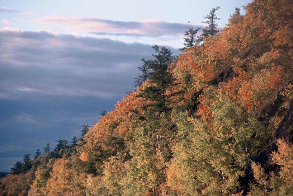 Amur (Heilong) River Basin | WWF