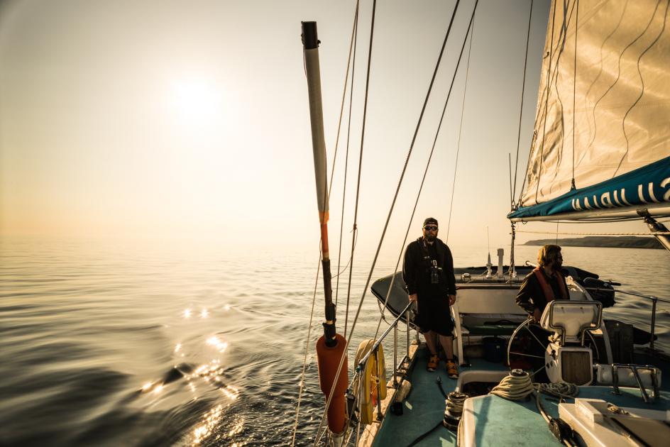 Why UK seas and coasts are important | WWF