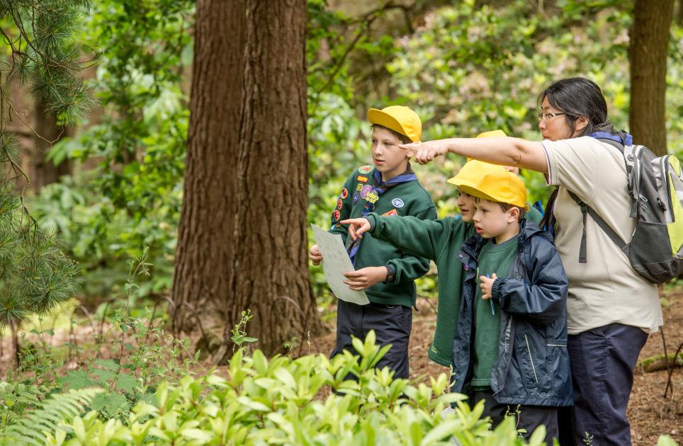 Resources and activities for leaders | WWF
