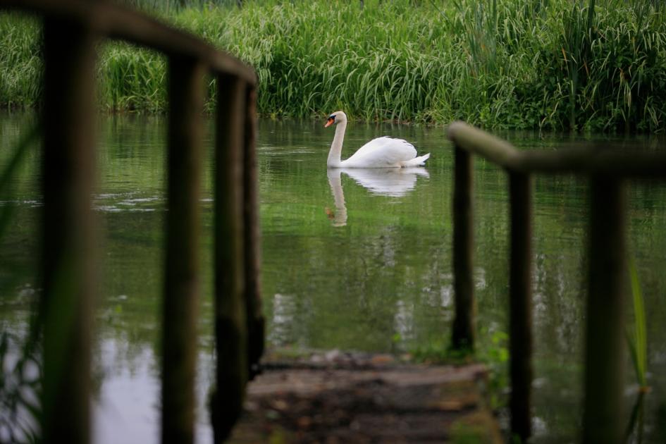 UK rivers and chalk streams | WWF
