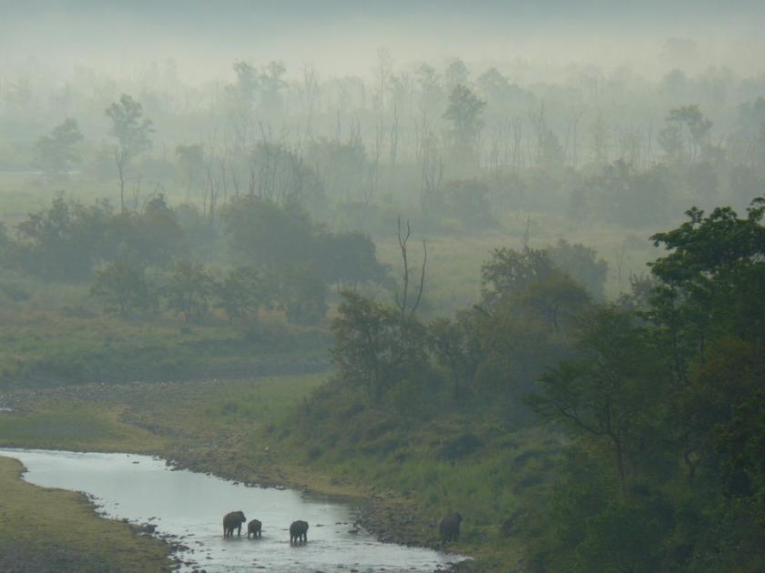 Useful References for Water Risk Mapping Survey | WWF