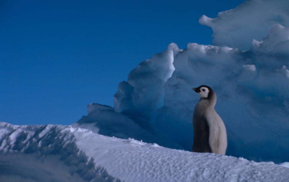 Participate in our research | WWF