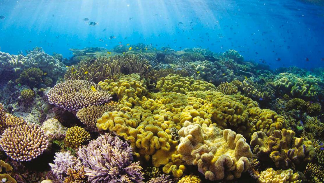 Nature and Spatial Finance | WWF