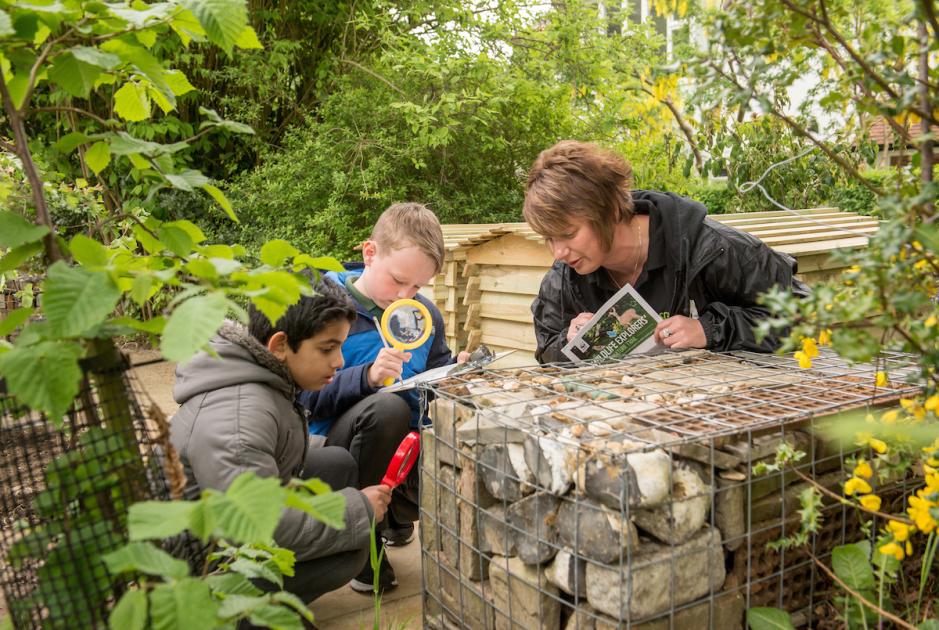 Primary school classroom resources | WWF