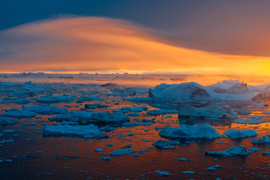 Climate change resources for schools | WWF