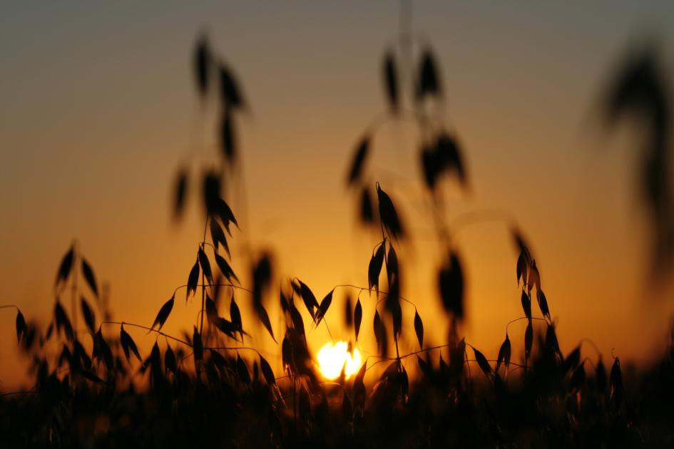 Wild and weird weather brings climate change home | WWF